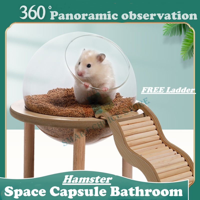 Hamster Bathroom Golden Bear Toilet Basin Bath Transparent Space ...