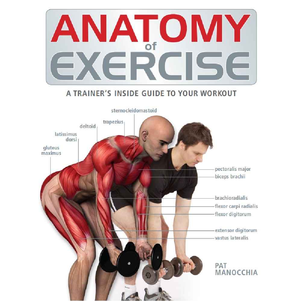 Anatomy Of Exercise (ebook) | Shopee Malaysia