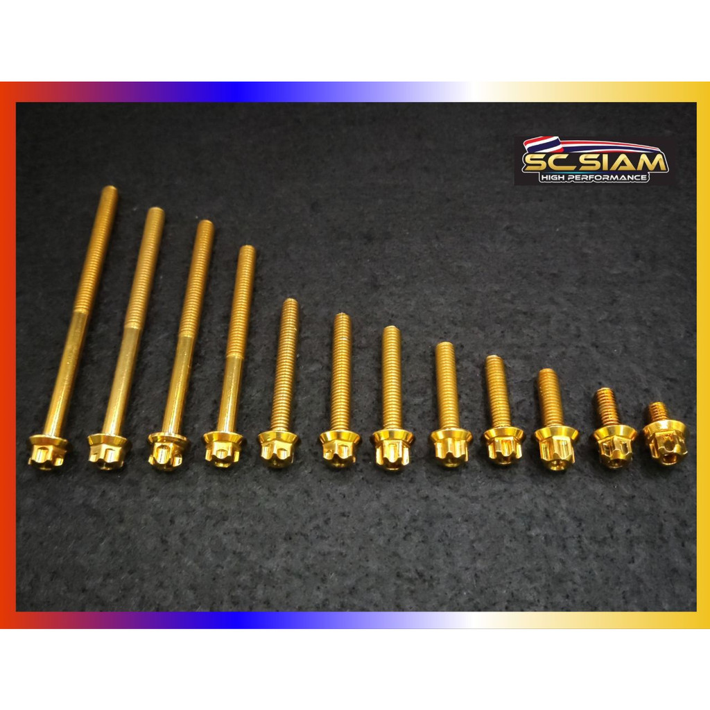 🔩 🇹🇭 SKRU SAIZ 10/M6 GOLD DAN SILVER CNC ORIGINAL SC SIAM CARBON STEEL ...