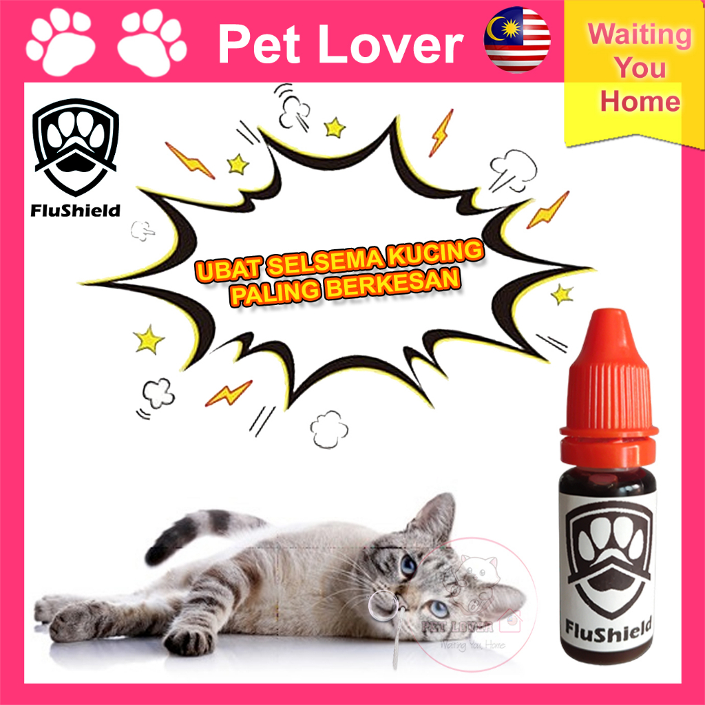 FLUSHIELD Ubat Selsema Kucing Paling Berkesan Cat Flu Medicine Ubat ...