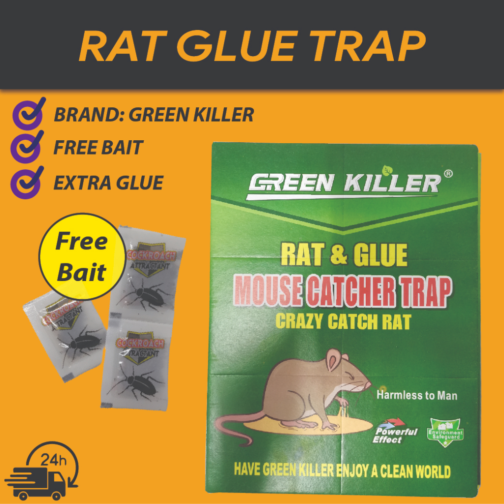 𝗦𝗔𝗠𝗘 𝗗𝗔𝗬 𝗣𝗢𝗦𝗧 》Super Mouse Glue Trap Extra Sticky And Foldable ...