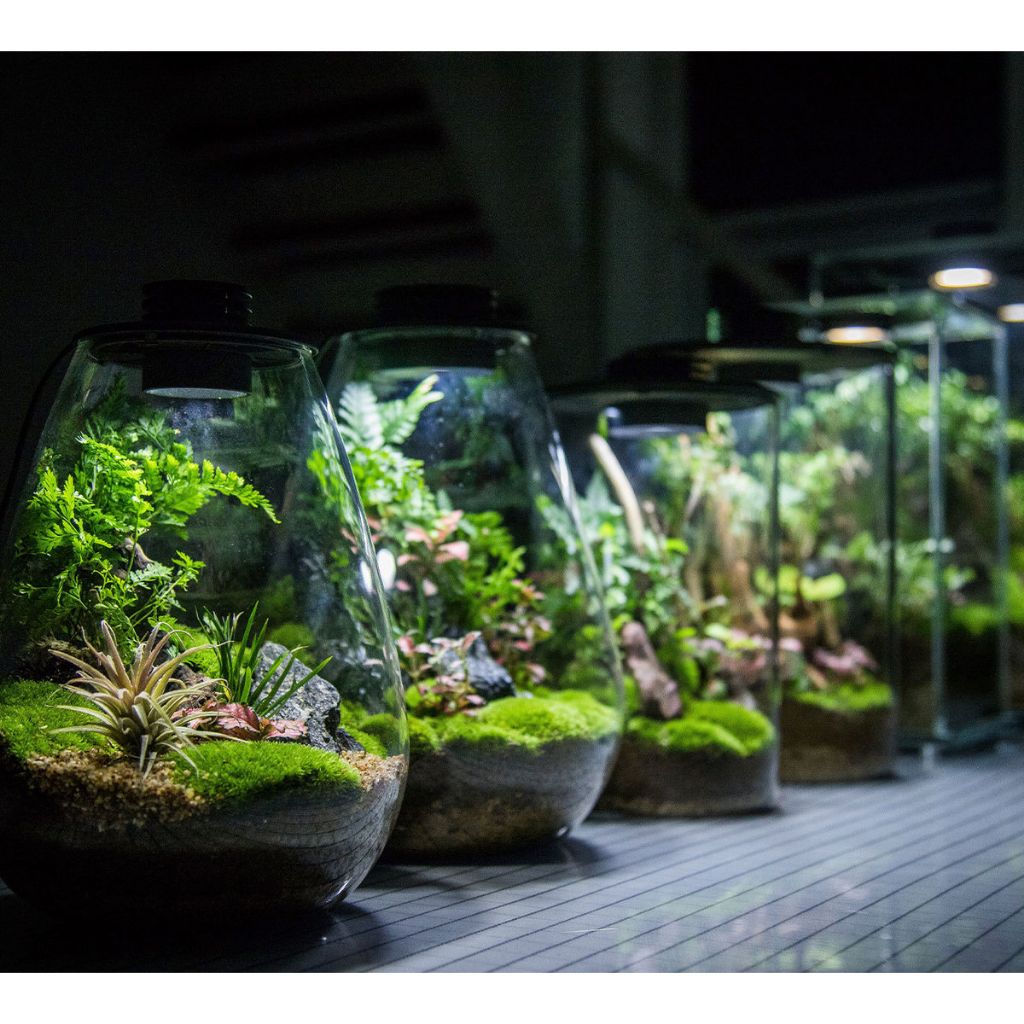 BIOLOARK Bio Bottle Led ZD/SD for Terrarium | Shopee Malaysia