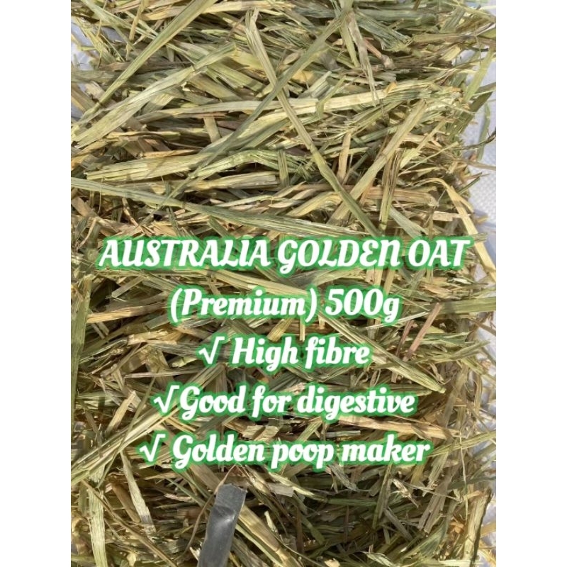 Australia Golden oat hay (Premium)500g Rabbit hay澳麦 Updated:24/1/2026 ...