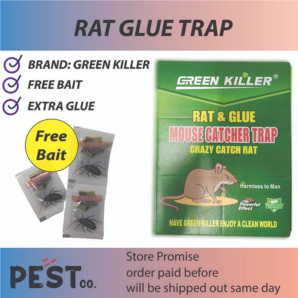 Perangkap Tikus Extra Gum / Super Mouse Glue Trap Extra Sticky And ...