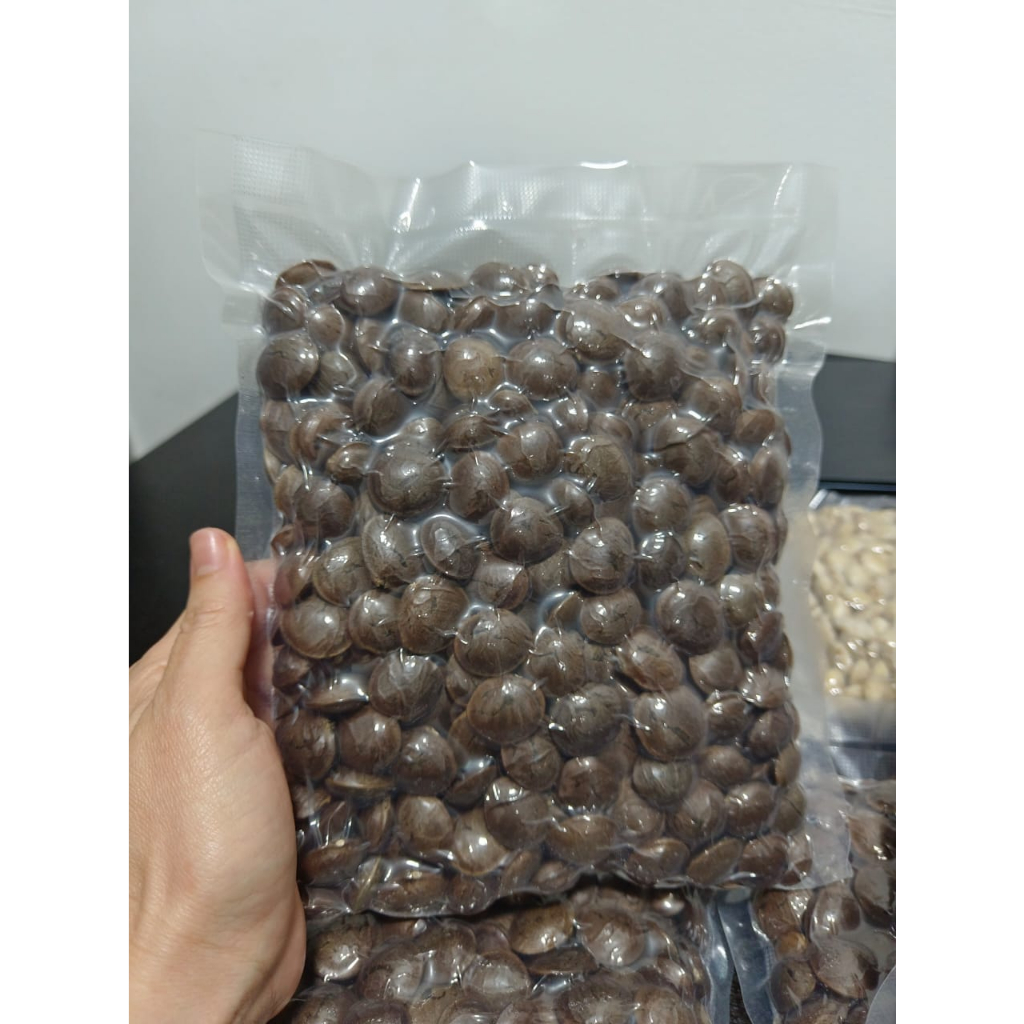 Biji Benih Sacha Inchi - 1kg | Shopee Malaysia