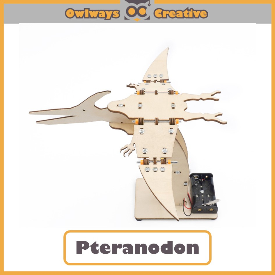 【2】Science STEM RBT DIY Robotics Set Assemble Wooden Kit Experiment ...