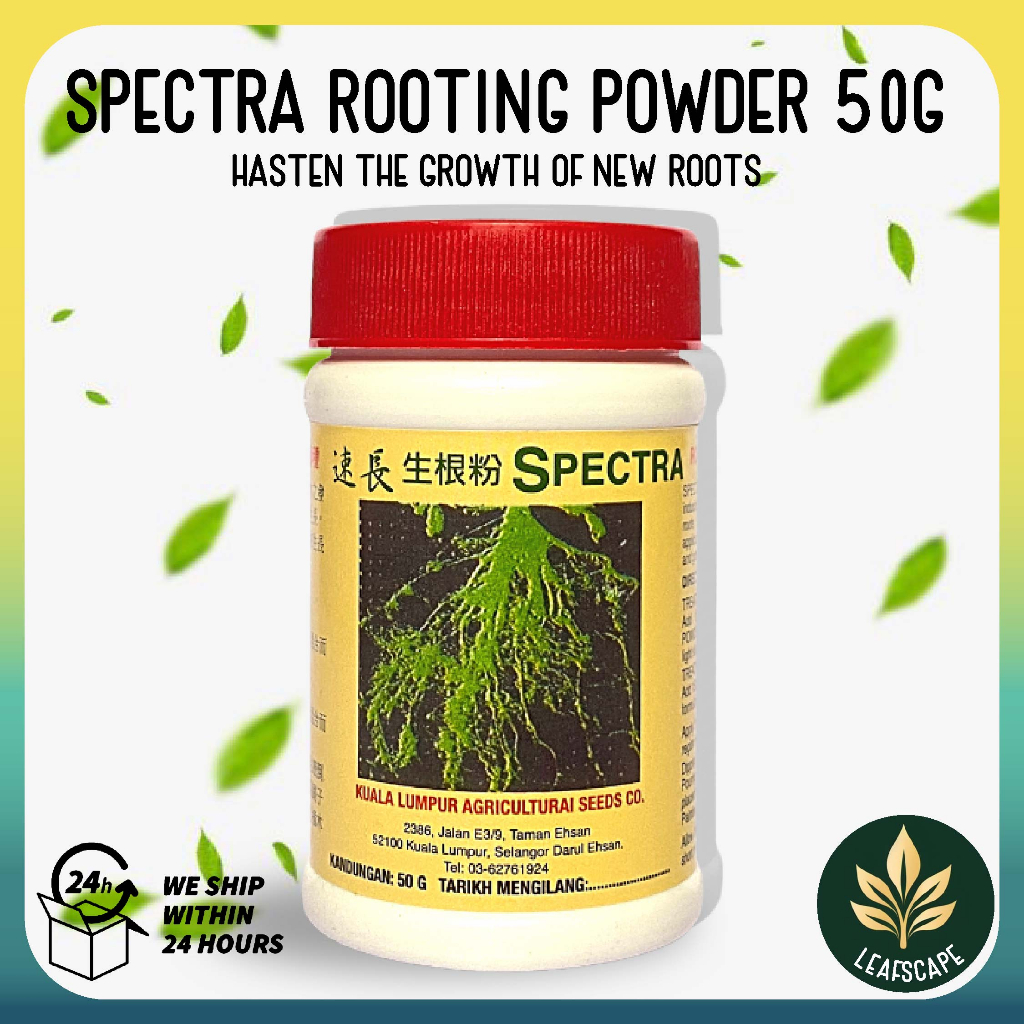 Spectra Rooting Powder Rooting 50g Hormone Powder Plant Hormone Hormon ...