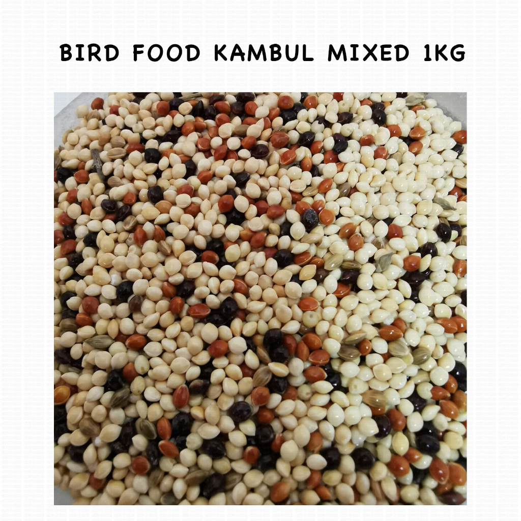 Bird Food Kambul Mixed Millet Food for Bird Makanan Burung Repack (1KG ...