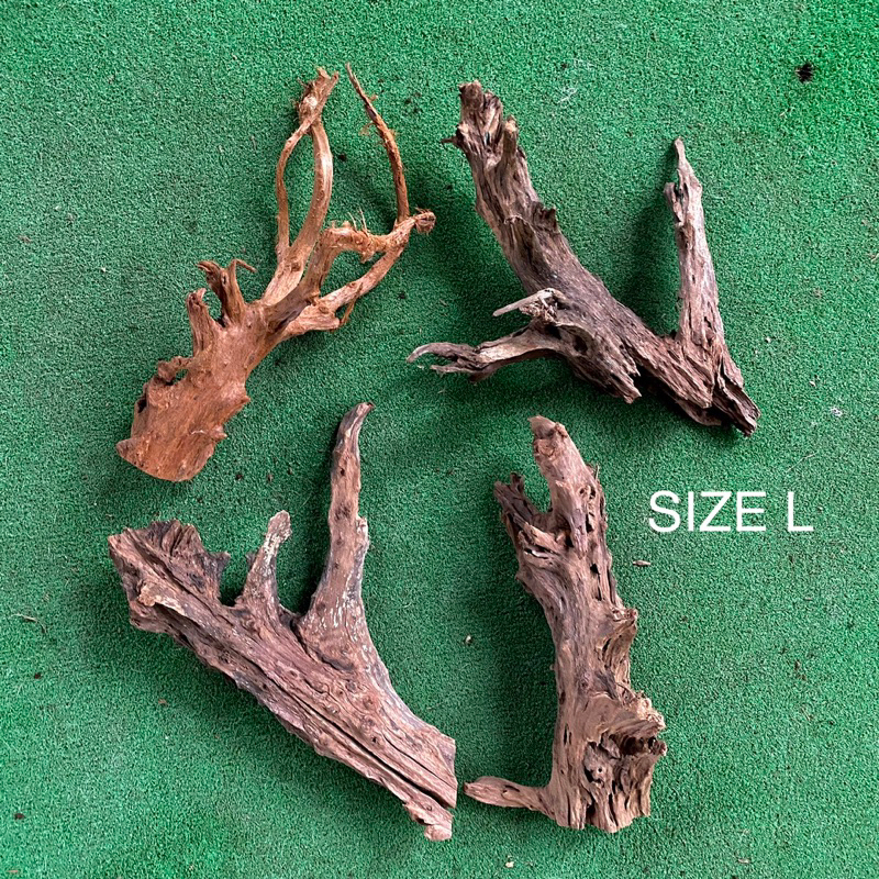 (S/M/L) 𝟮𝟬𝗰𝗺 → 𝟯𝟴𝗰𝗺 Driftwood for aquarium/aquascape/paludarium ...