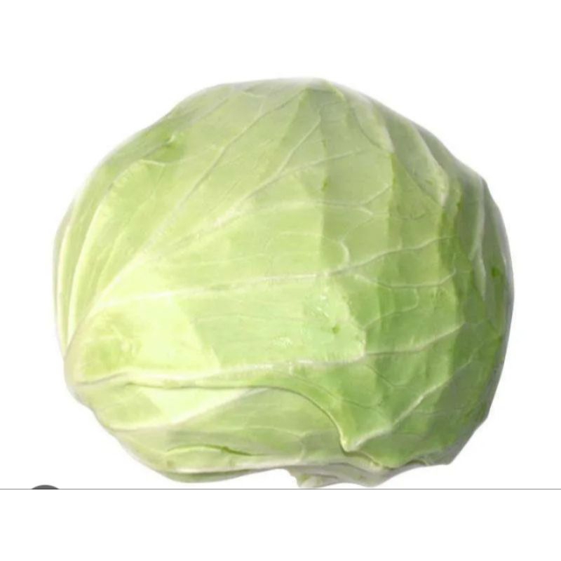 kobis bulat segar sebiji 1kg | Shopee Malaysia