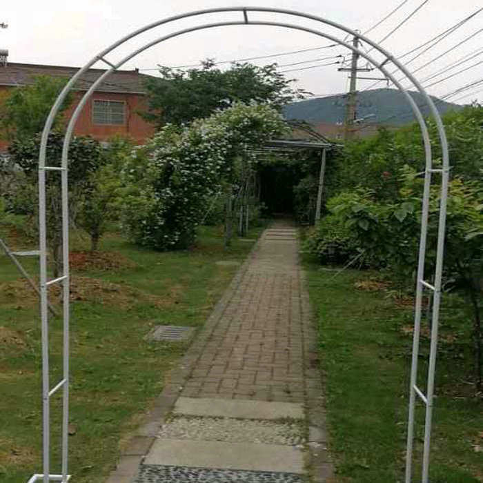 Wrought Iron Arch Flower Stand Lattice Garden Floral Grape Chinese Rose ...