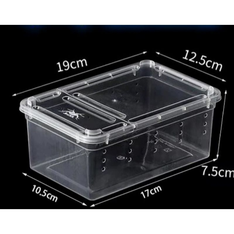Small Animal Reptile Enclosure Plastic Tank (Snake/Gecko/Tarantula ...