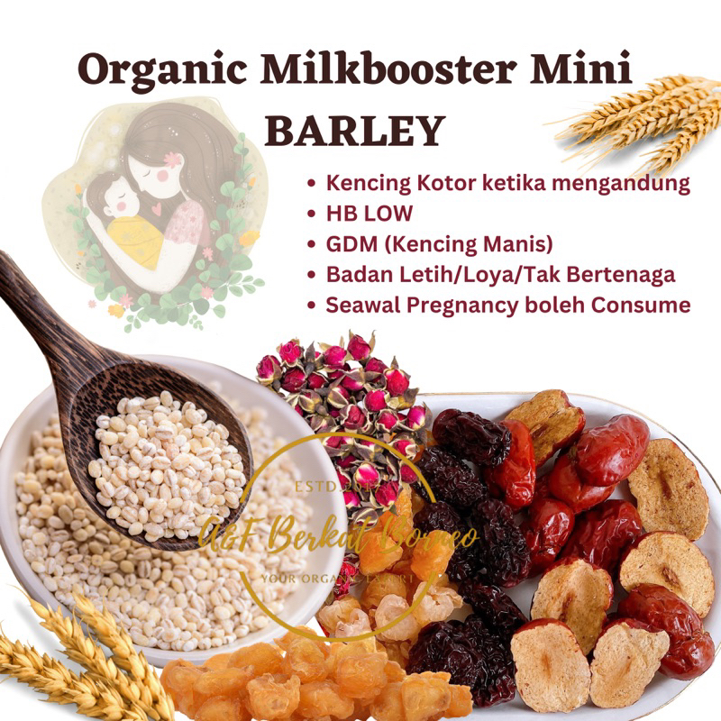 Pek Mini [ADA BARLI] + FREE GIFT🎁 / Organic Milkbooster💯Muslim Seller ...