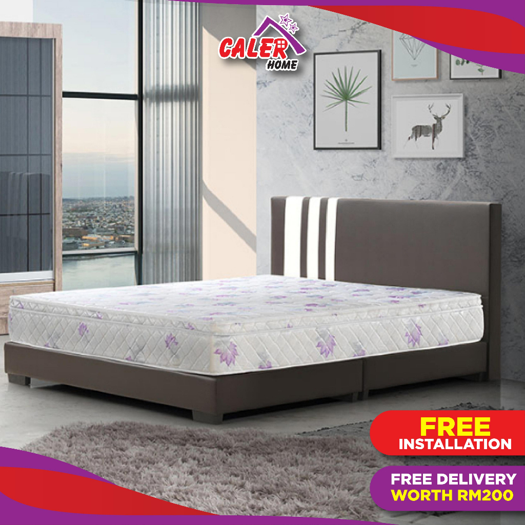 Caler Home Focus Divan (5ft) + Queen Spring Mattress Set (10") [Free ...
