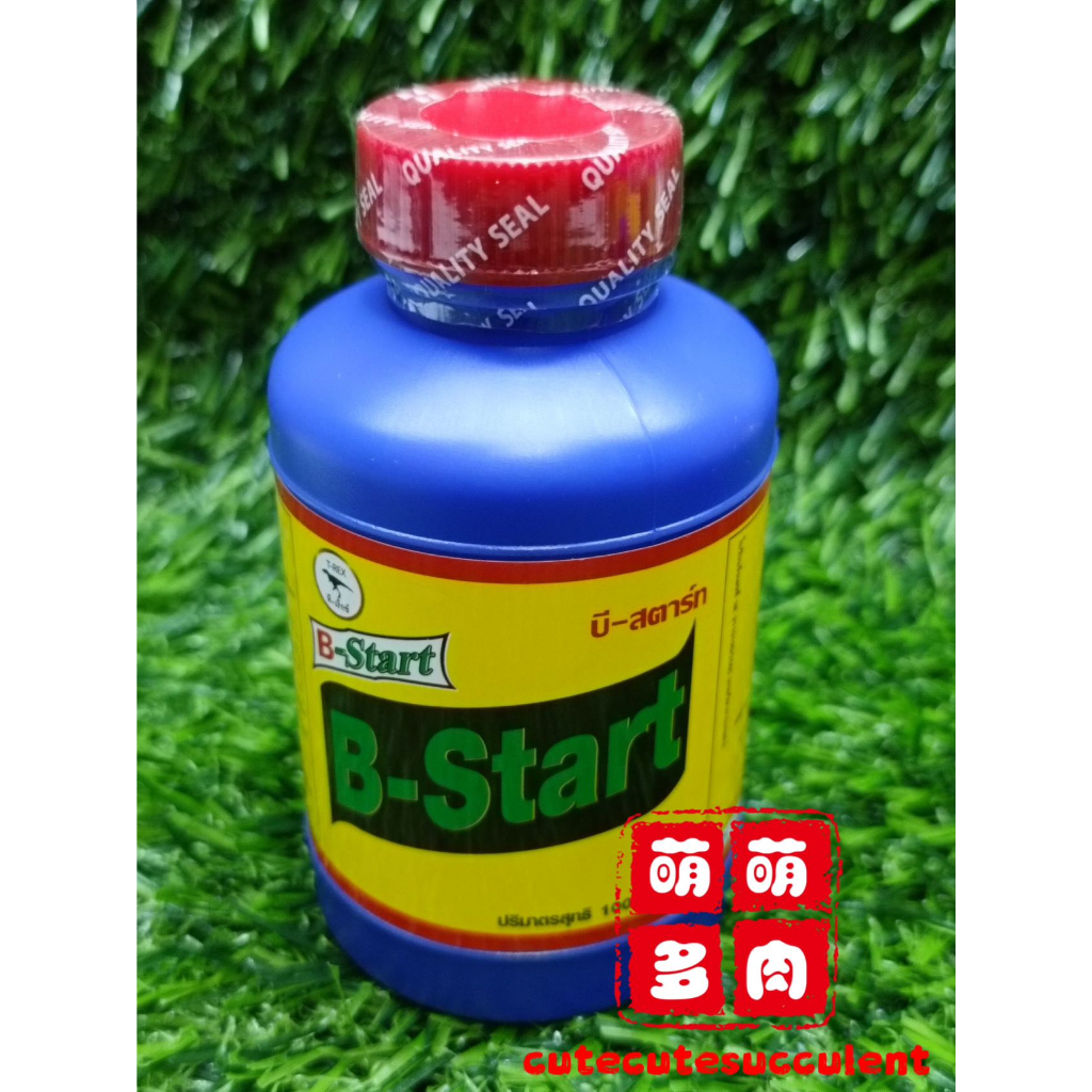 Vitamin B1 (100ml) with Humic and Alpha Amino Acid for Cactus Plant ...