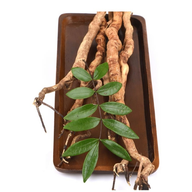 🧡Tongkat Ali Root (Eurycoma longifolia) Original Kampung Orang Asli🧡 ...