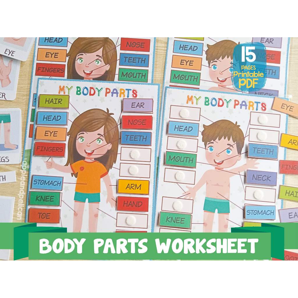 [SOFTCOPY] Body Parts Matching Busy Binder, Human Body Learning ...