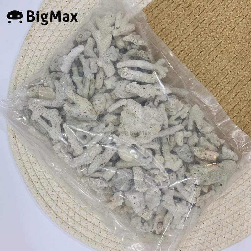 Aquarium Coral Sand Filter Media (1KG) | Shopee Malaysia