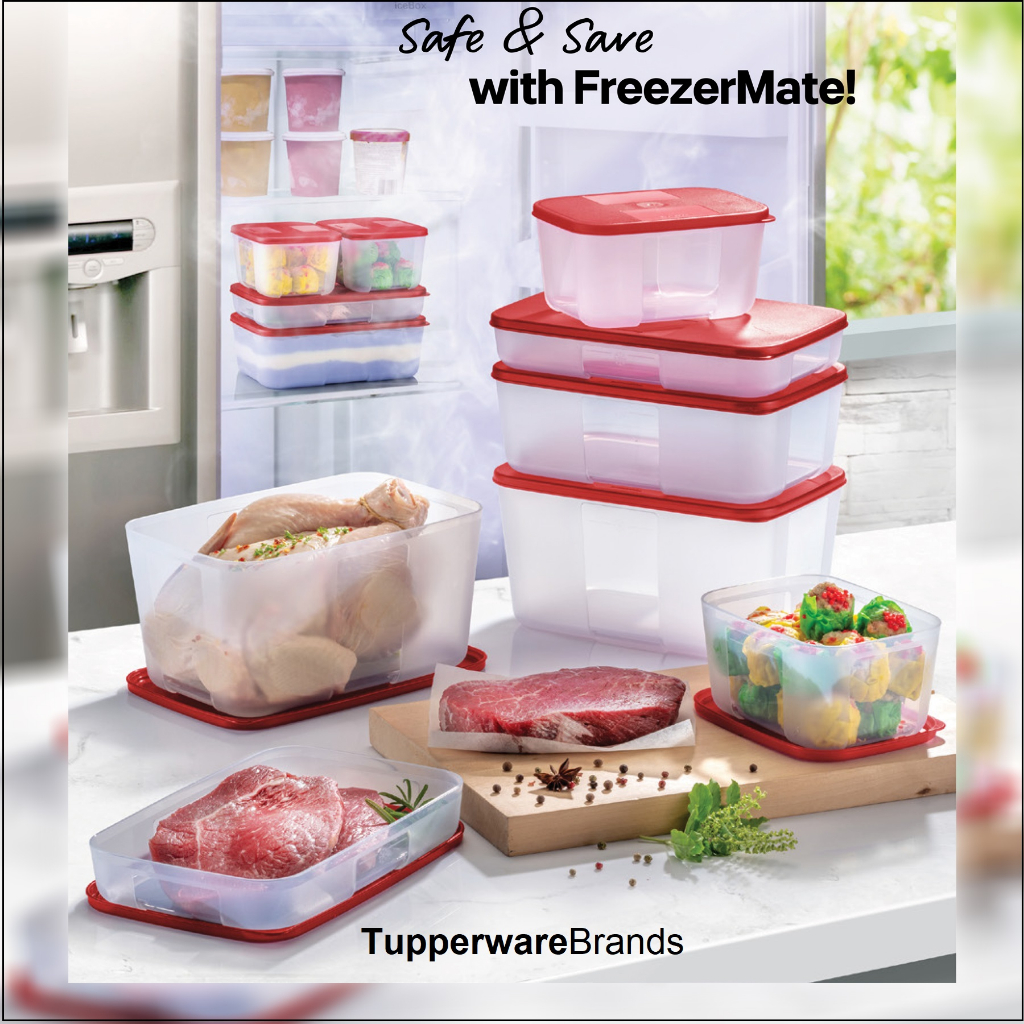 Tupperware Freezer Mates Set - Sizes - Small II Medium I, II, or III ...