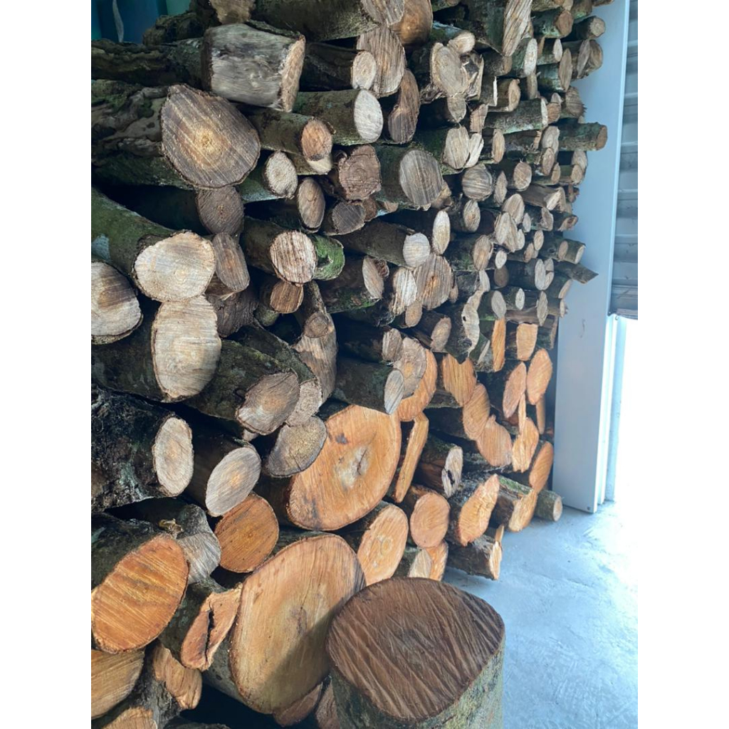 KAYU API JENIS KAYU RAMBUTAN | Shopee Malaysia