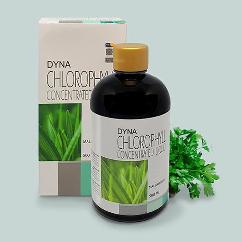 DnG Dyna Chlorophyll Concentrated | Shopee Malaysia