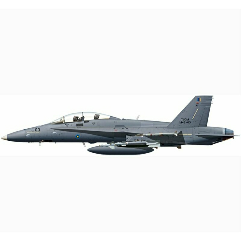 F-18D HORNET HASEGAWA 1/72 TUDM RMAF model | Shopee Malaysia