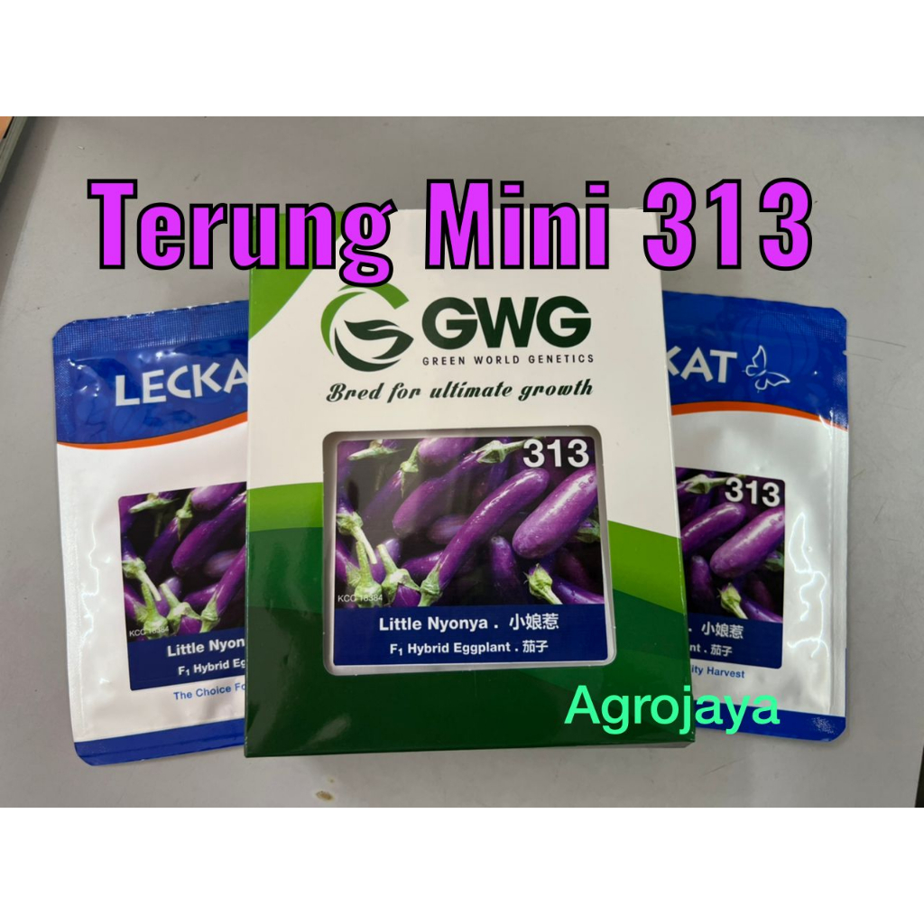 Fresh Stock Baru Sampai!!! Terung Mini 313 Leckat Little Nyonya F1 ...
