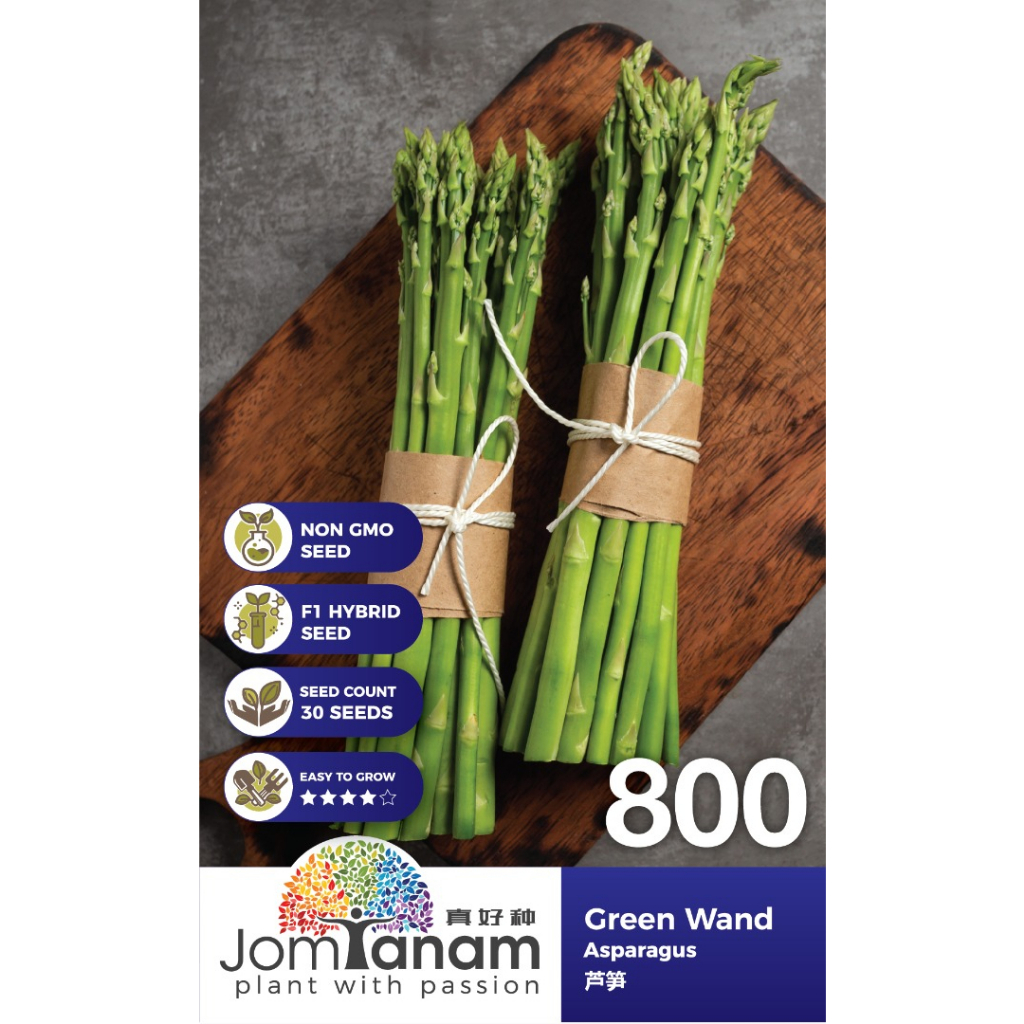 800 - JOM TANAM Asparagus SeedBenih Asparagus芦笋种子 Green Wand 800 (30 ...