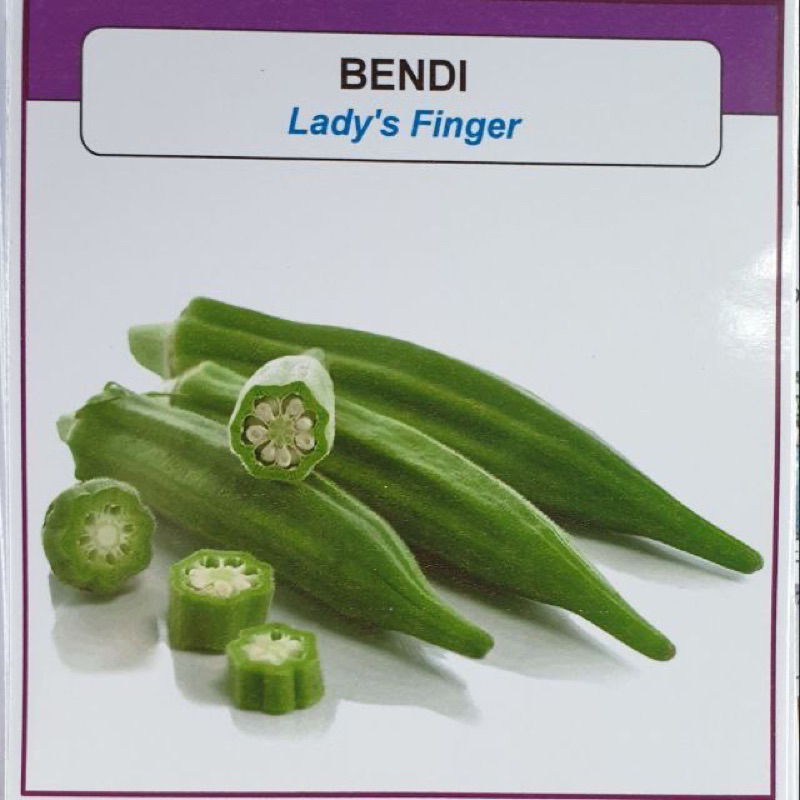 BENIH BENDI @ OKRA (30 BIJI) | Shopee Malaysia