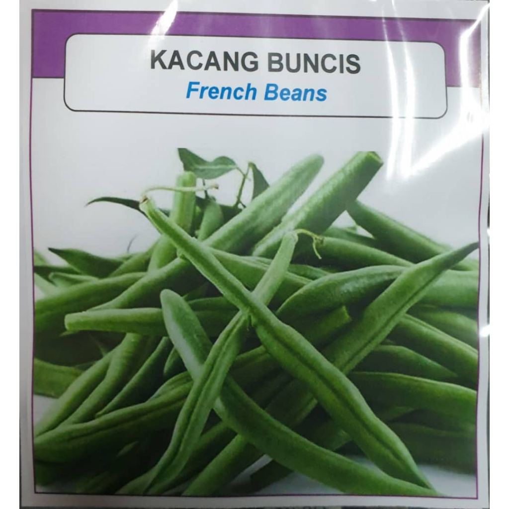 BENIH KACANG BUNCIS @ French Bean (10 Biji) | Shopee Malaysia