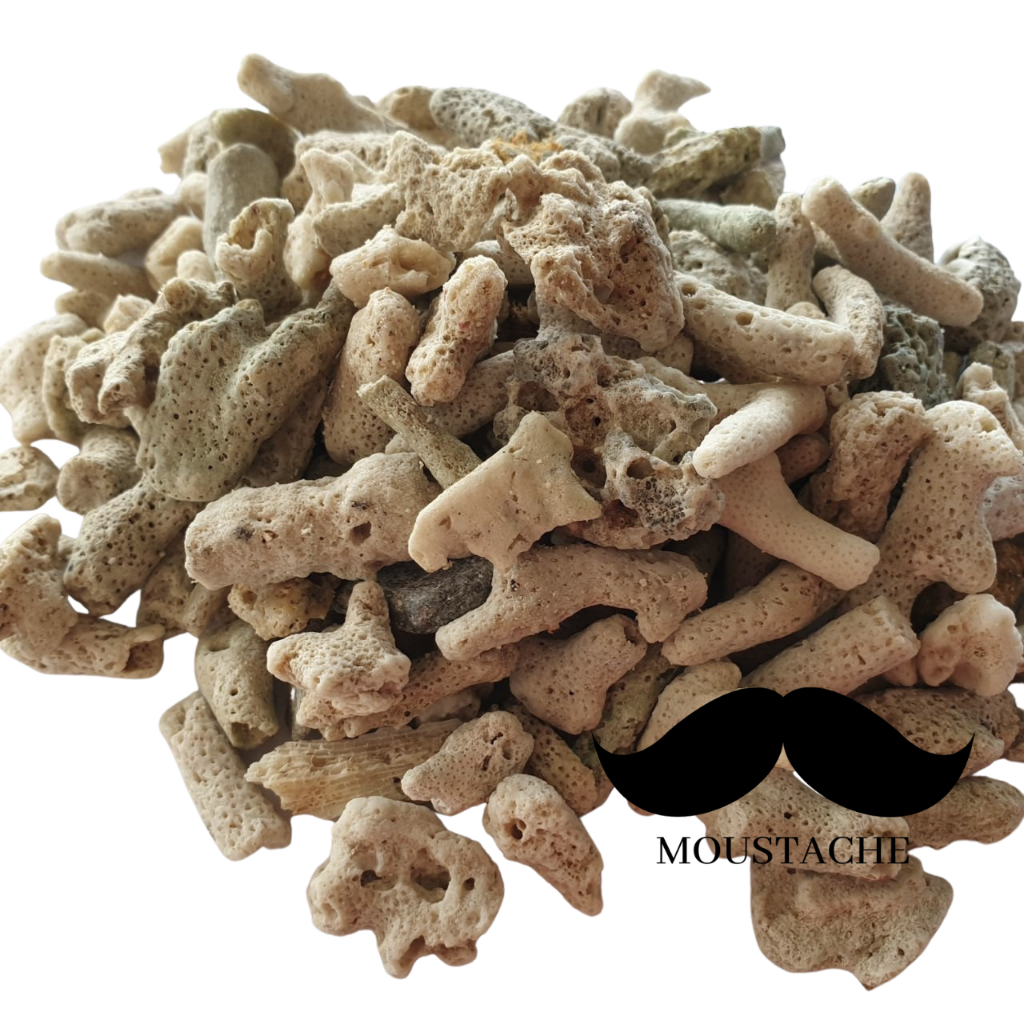 Coral stone Aquarium aqua scaping Filter Media Stone Grade A for fish ...