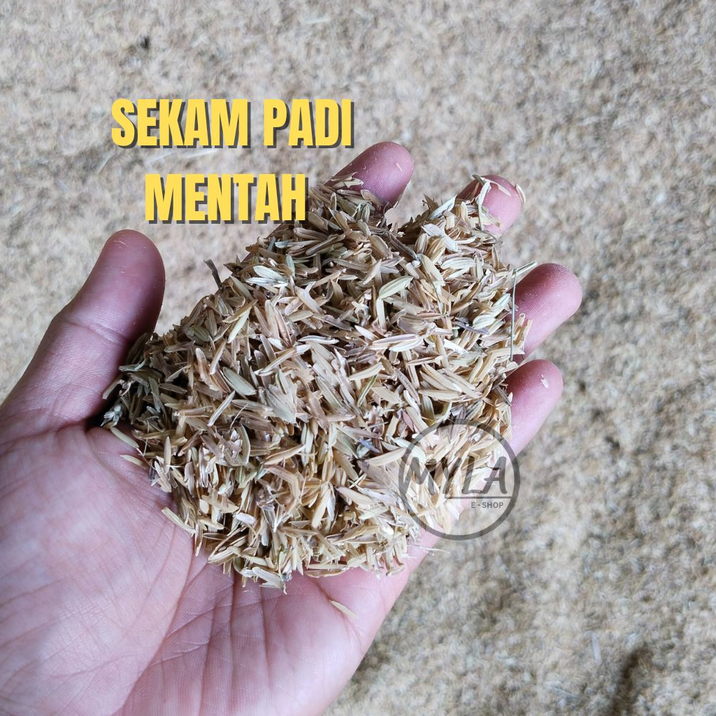 Sekam Padi Mentah 1 Guni 55L Rice Husk Gred A Kualiti Baik Kering ...