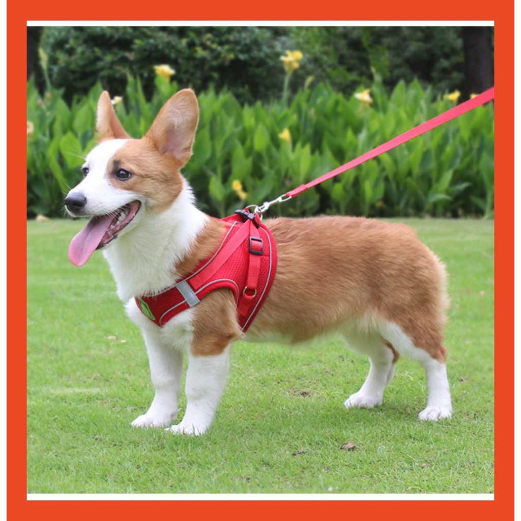 [Stock Ready] Small Medium Velcro pet puppy adjustable harness ...