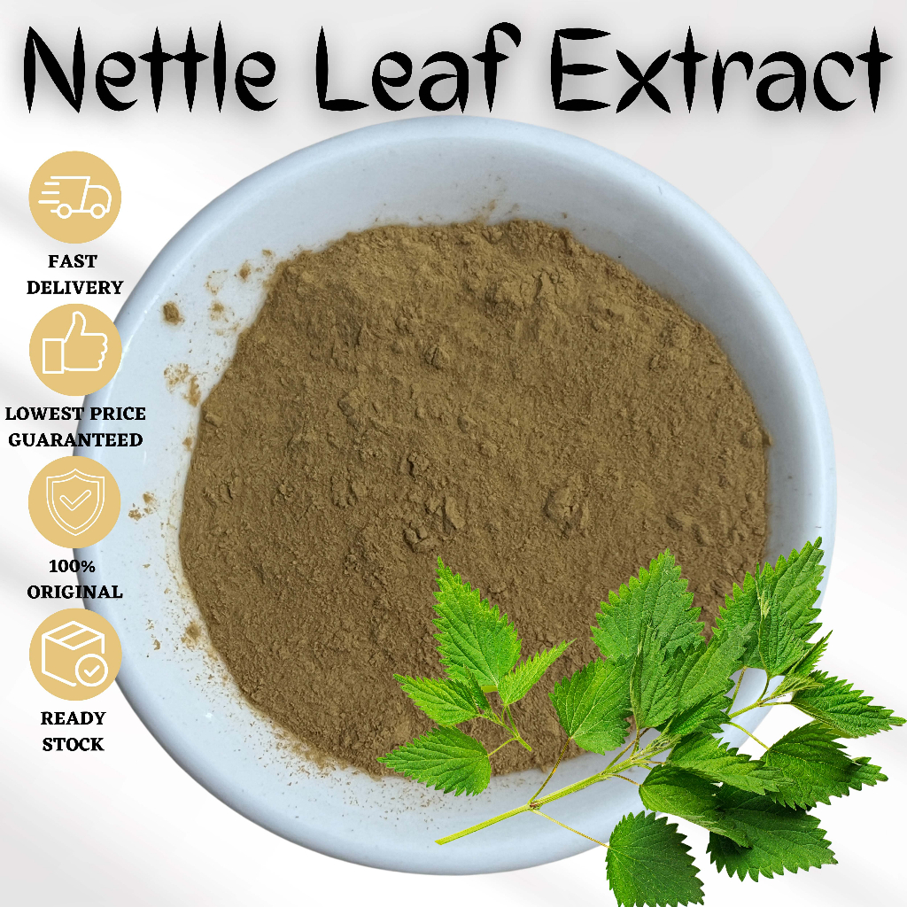 Nettle Leaf Extract Powder | Stinging Nettle | 荨麻叶 | 20g, 50g and 100g ...