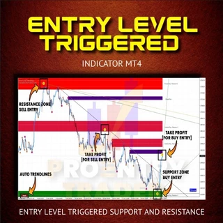 ProEntry Trader, Online Shop | Shopee Malaysia
