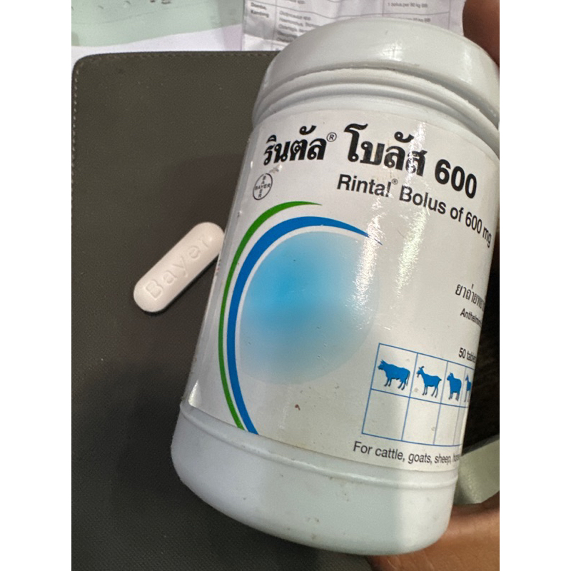 Rintal Bolus (ubat cacing lembu,kambing,kerbau) | Shopee Malaysia