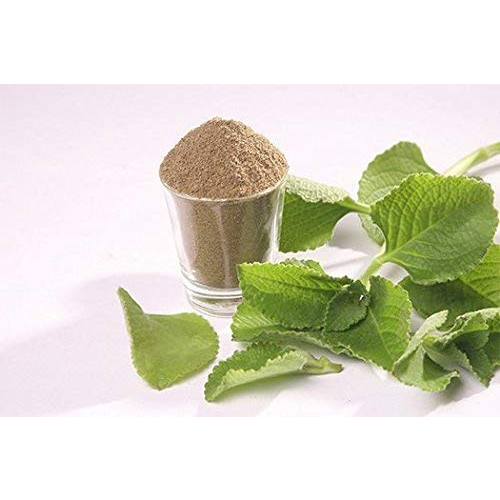 Indian Borange leaf powder (coleus amboinicus syn. Plectranthus ...