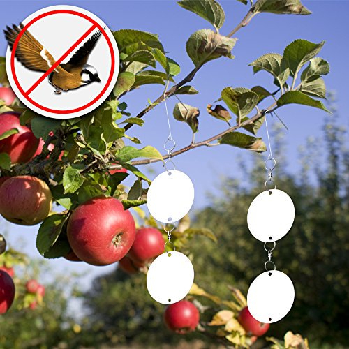 Bird Repellent Outdoor Hanging Spiral Disc DVD CD VCD Anti Scare Crow ...