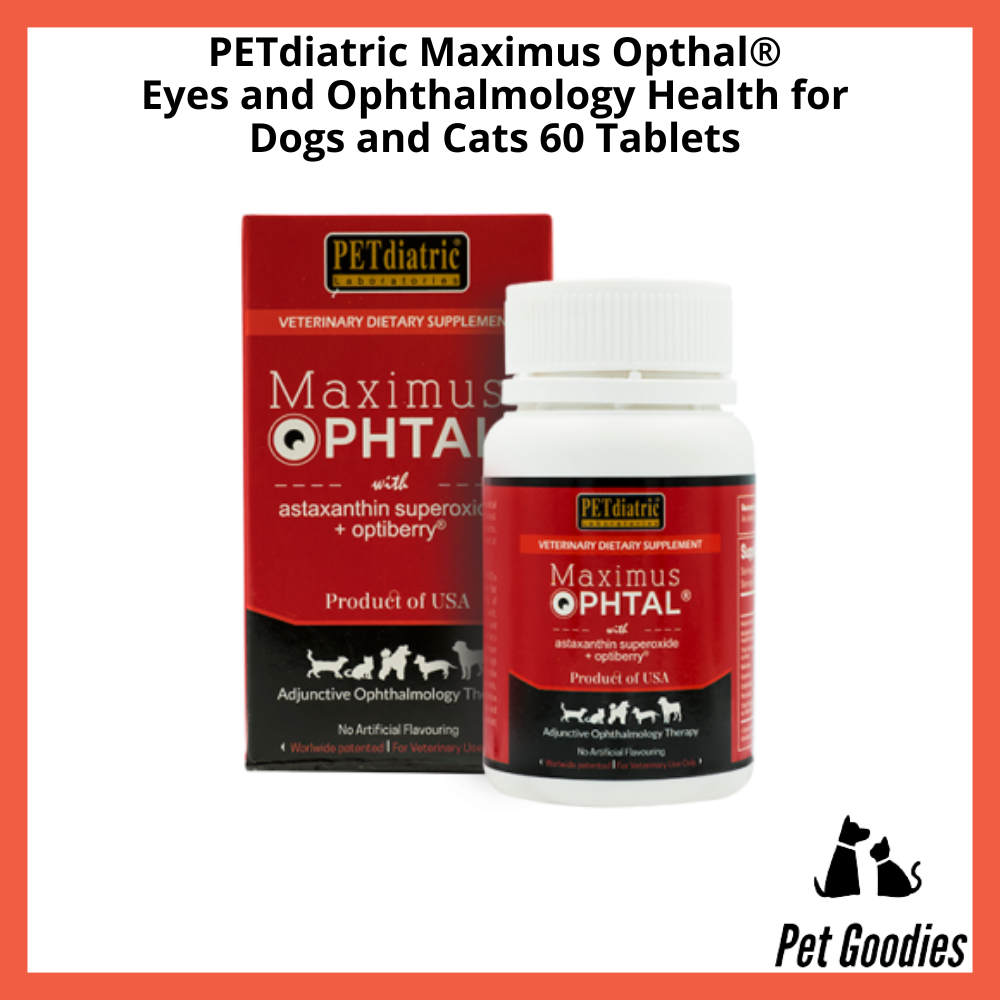 PETdiatric Maximus Opthal® Eyes and Ophthalmology Health for Dogs and ...