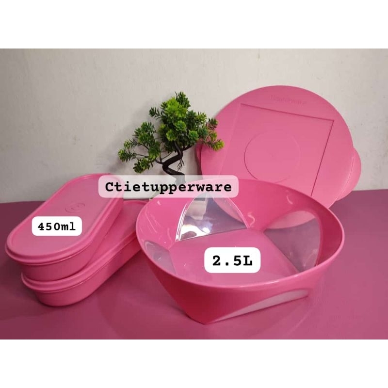 Tupperware Combo Outdoor | Shopee Malaysia