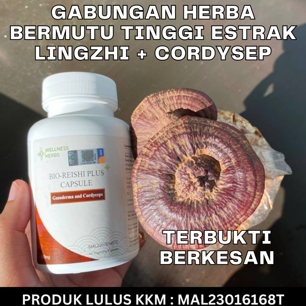 Bio Reishi Plus / Cordyceps Herbs + Lingzhi Capsules By Wellness Herbs ...