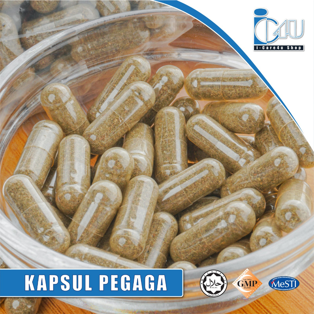 KAPSUL PEGAGA 100% ORIGINAL DIRECT KILANG | Shopee Malaysia