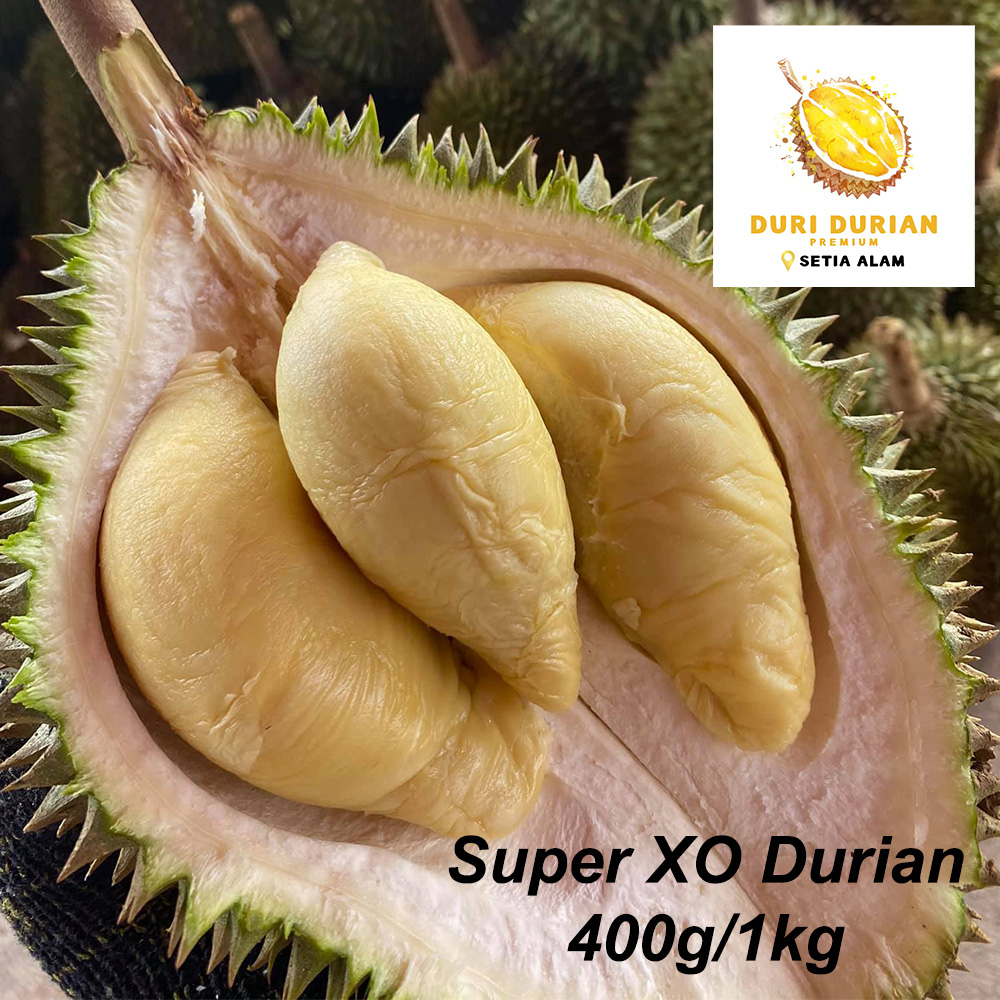FRESH Raub MUSANG KING PREMIUM XO D24 - Same Day Delivery | Shopee Malaysia