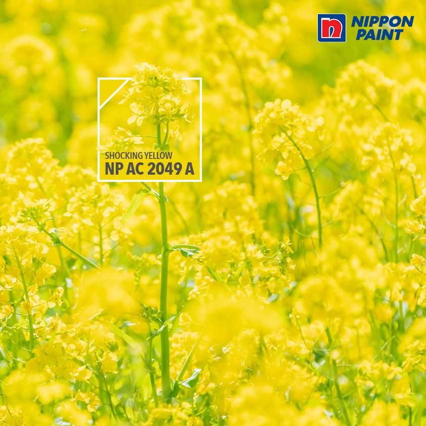 NP AC 2049 A (5L) NIPPON SATIN GLO Instagram Photo Colour Code ...