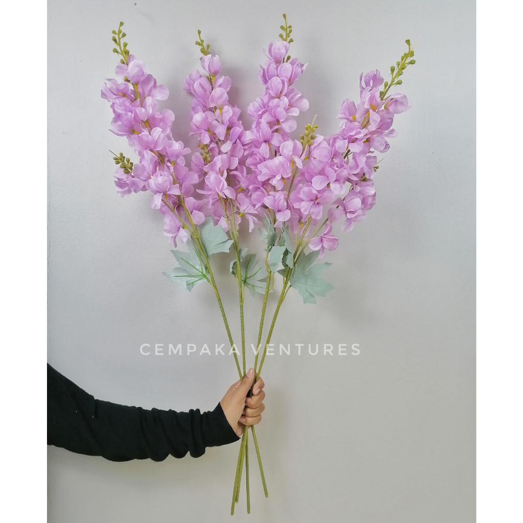 Bunga Harum Sundal Malam Bunga Jagung Hiasan Pelamin Matthiola Flower ...