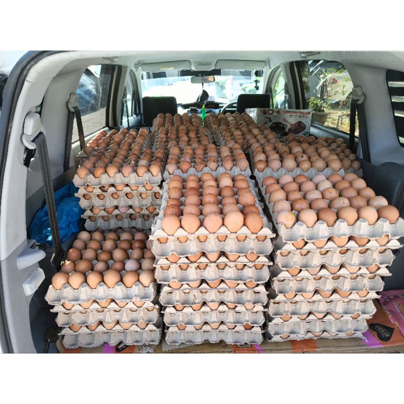 telur ayam campur&gred (KEDAH&PERLIS ONLY) | Shopee Malaysia
