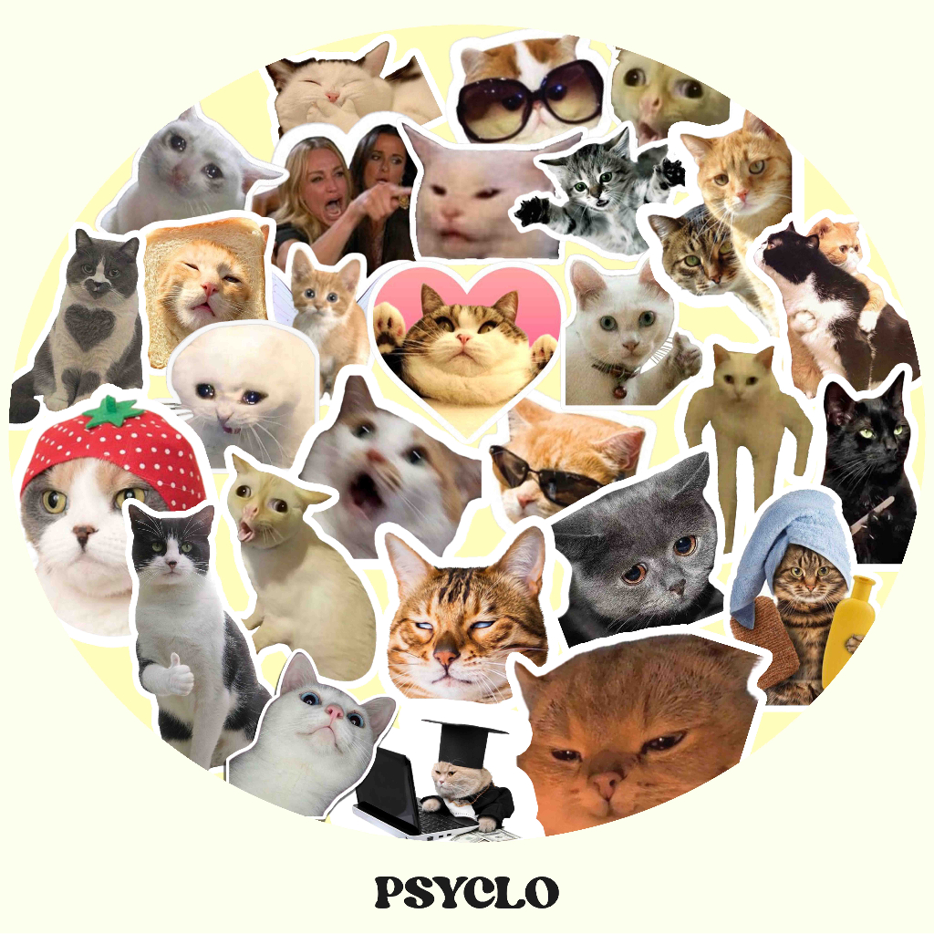 [Ready Stok] Funny cat memes sticker for Laptop/Phone case/Notebook ...