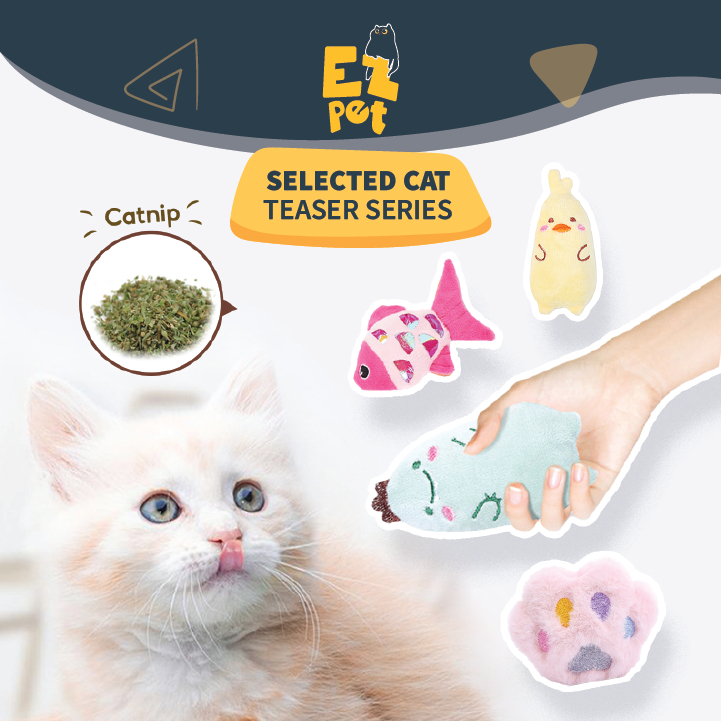 EZPET🐱Mini Catnip Toys Biting Toy Kitten Biting Toy Pet Chewing Toys ...