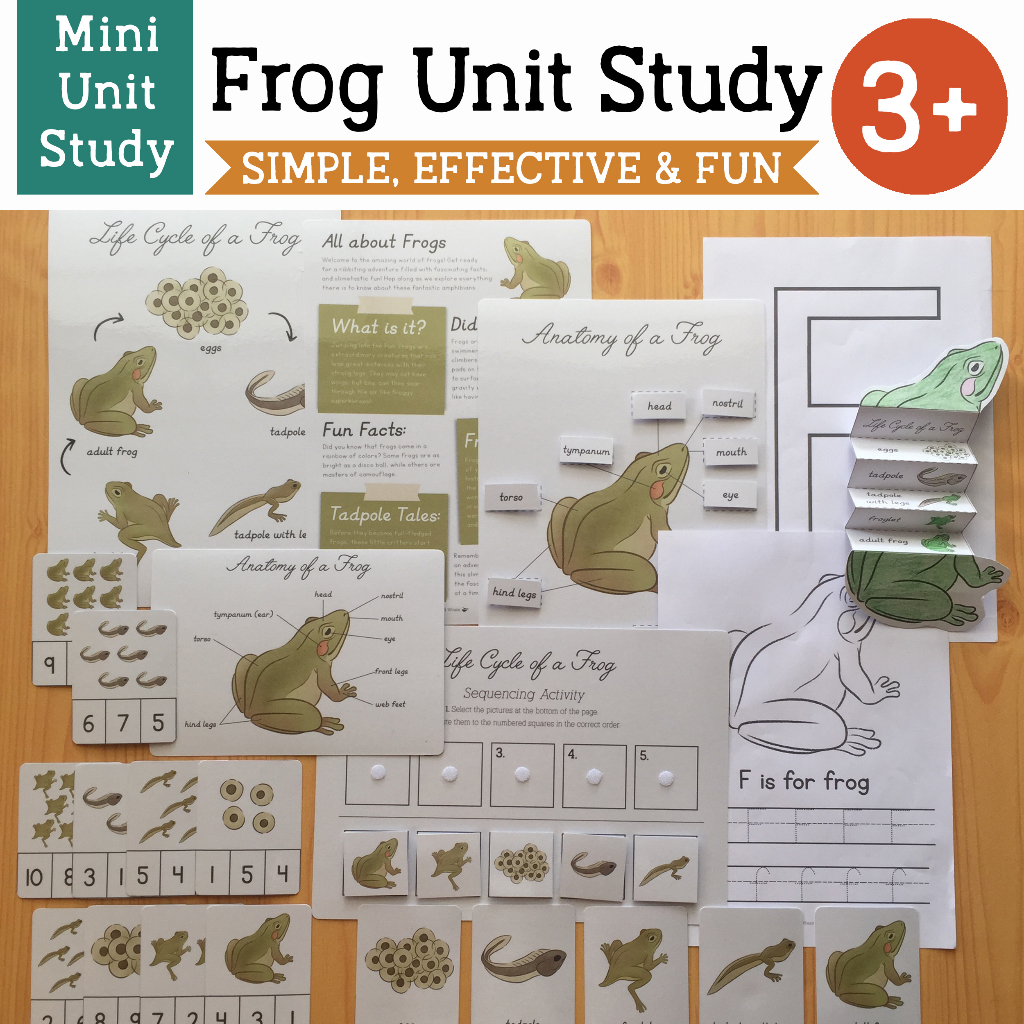 Frog Unit Study - Life Cycle of a Frog - Frog Anatomy - Homeschool ...