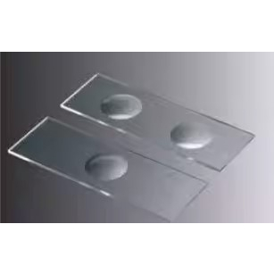 Single Cavity Slide, Single Concave, Double Concave Microscope Slide ...